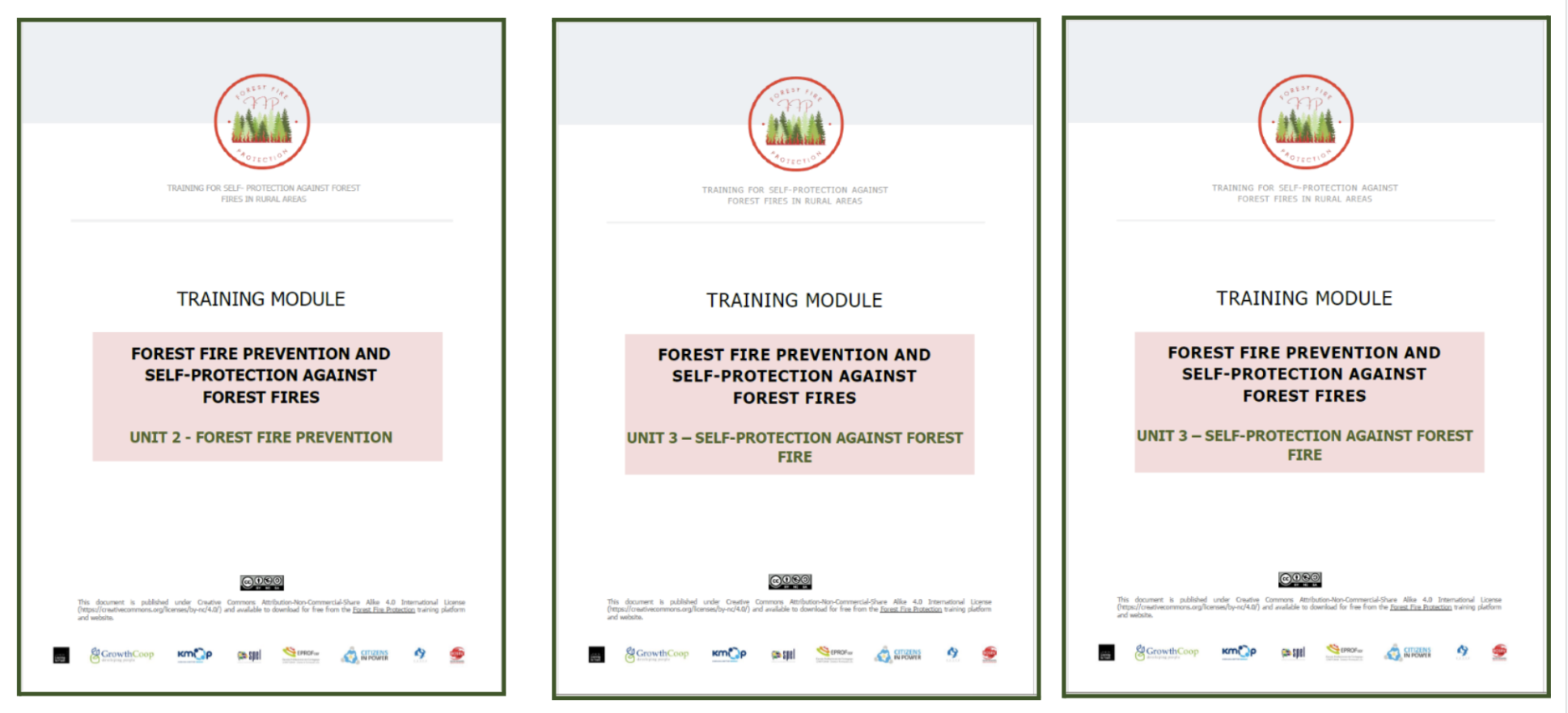 Forest Fire Training Modules: Development and Online Platform
