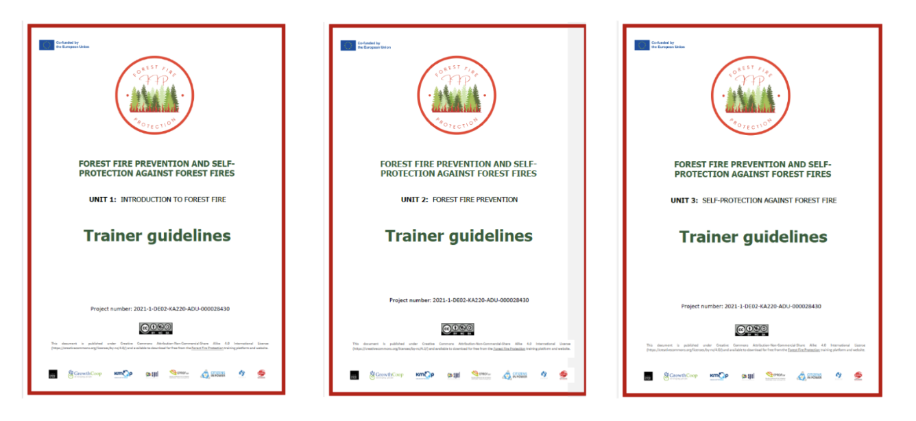 Forest Fire Training Modules: Development and Online Platform